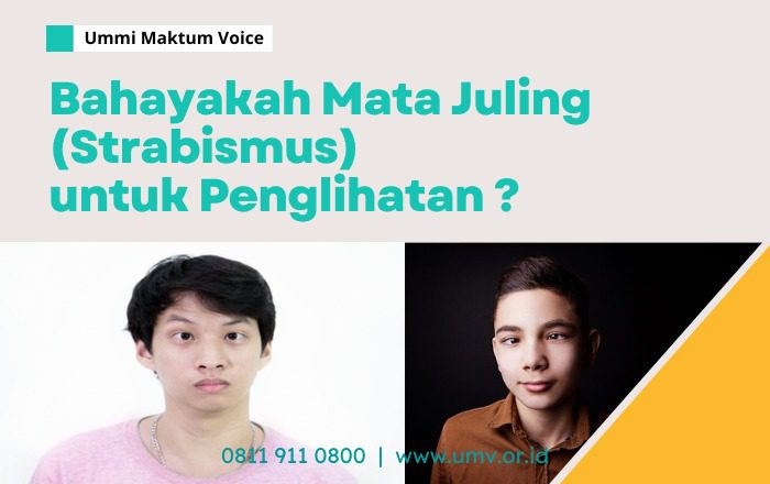 - Perkumpulan LSM UMMI MAKTUM VOICE